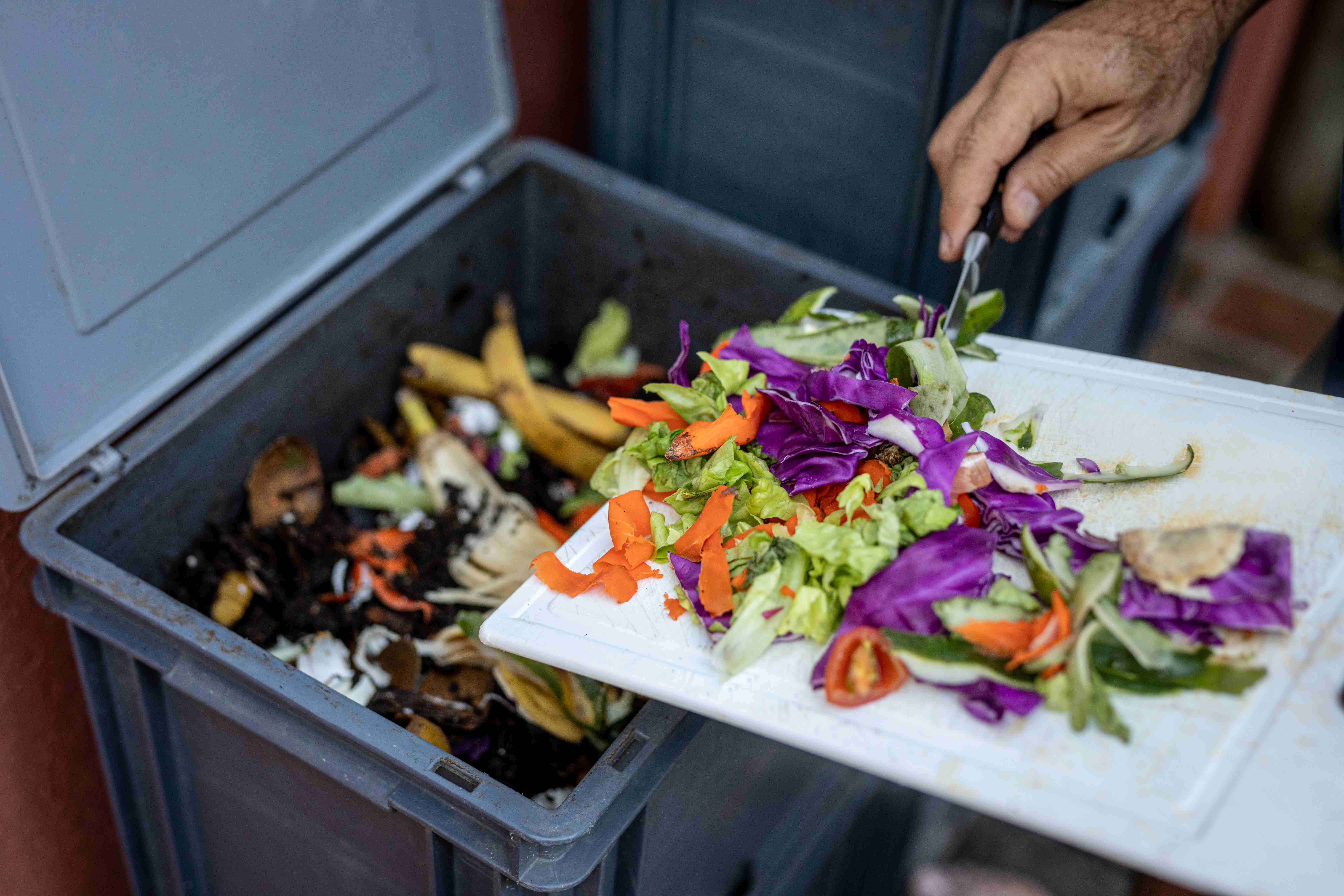 Do interventions work to help families reduce food waste? | WasteMINZ